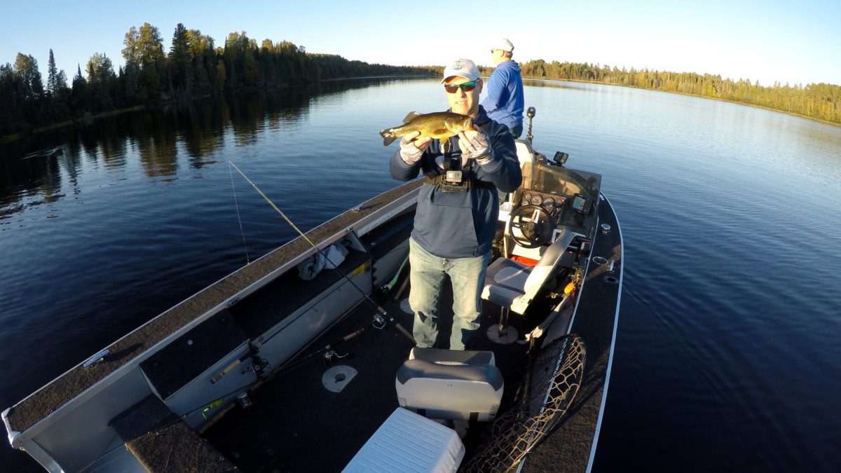 Bass on the north end