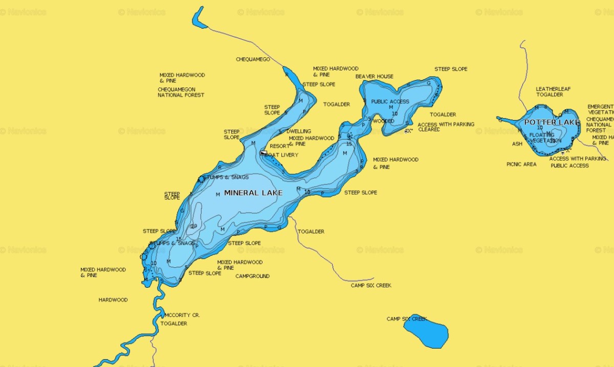 Navionics Lake Map