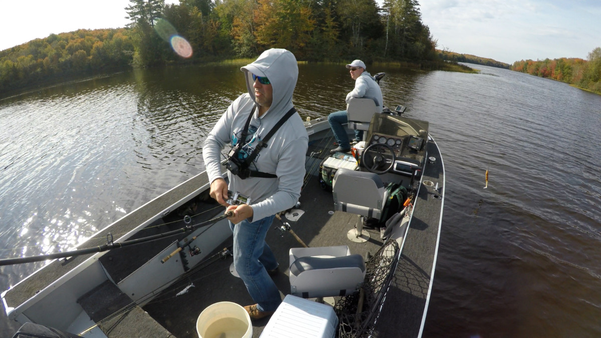 Muskie strike